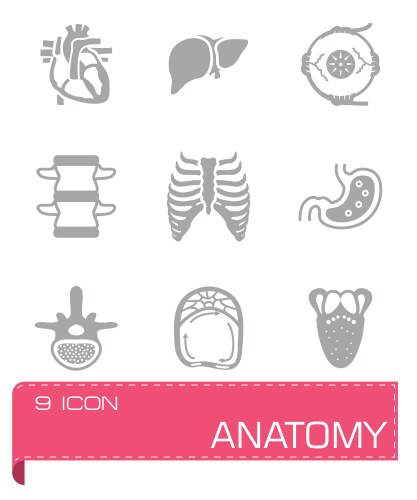 Anatomy Vector Images (over 210,000)