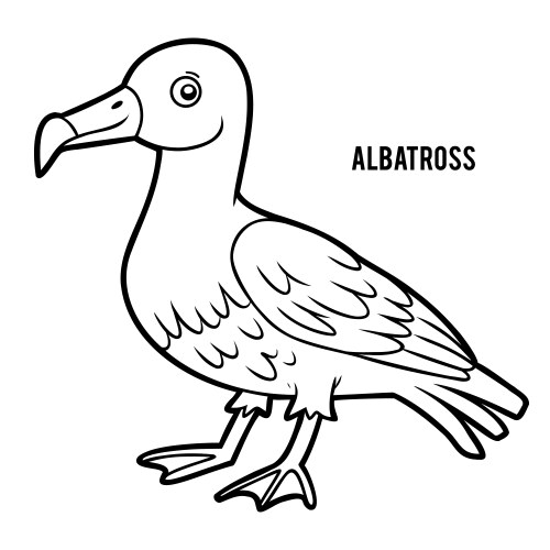 Coloring book for kids albatross Royalty Free Vector Image
