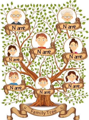 Family Tree Roots Vector Images (over 1,500)