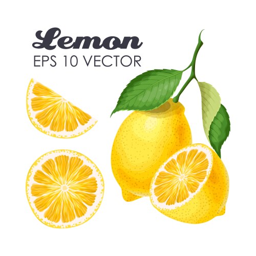 Lemons Royalty Free Vector Image - VectorStock
