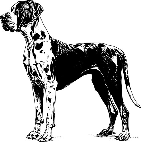 Great Vector Images (over 110,000)