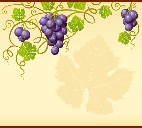Red grape vine frame Royalty Free Vector Image