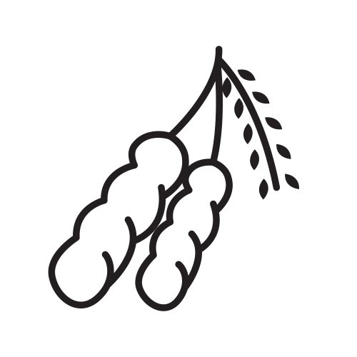 Colored tamarind icon logo Royalty Free Vector Image