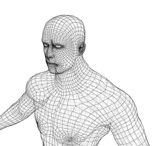 Wire frame athlete body on white background Vector Image
