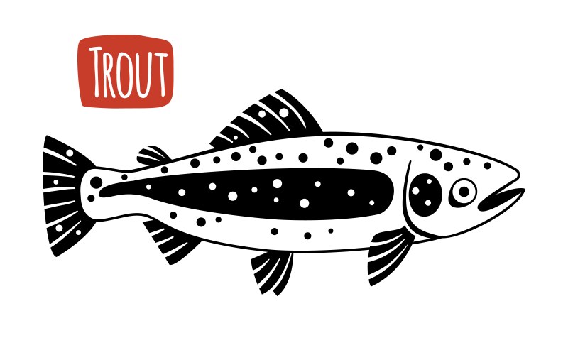Trout Vector Images (over 13,000)