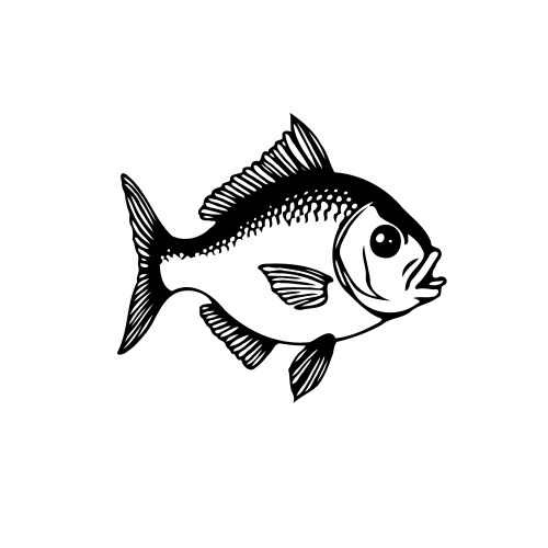 Cartoon Fish Scales Vector Images (over 4,400)