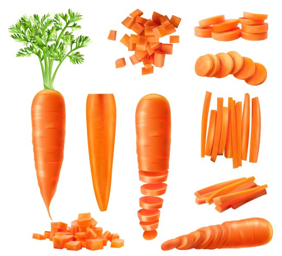 Carrots Royalty Free Vector Image - VectorStock