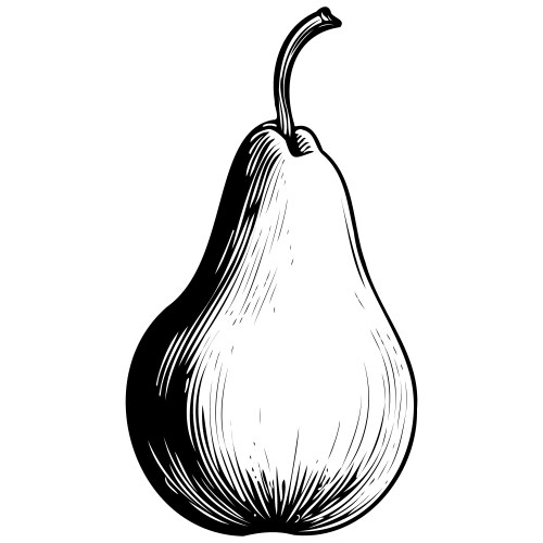 Prickly pear sketches hand drawn fruit Royalty Free Vector