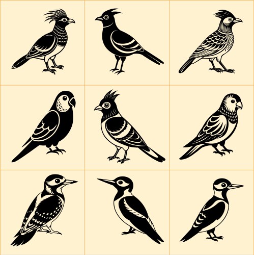 Stunning birds Royalty Free Vector Image - VectorStock