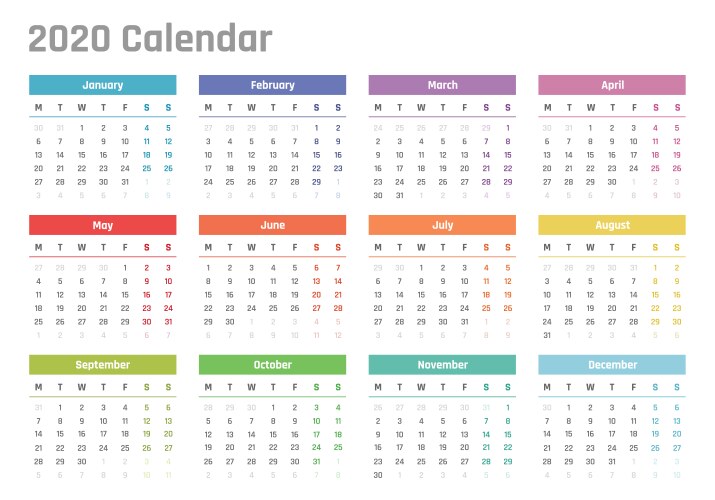 Calendar 2020 pocket basic grid Royalty Free Vector Image