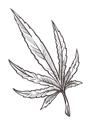 Marijuana Leaf Outline Vector Images (over 9,700)
