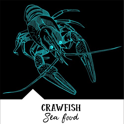 Crawfish Logo Vector Images (over 730)