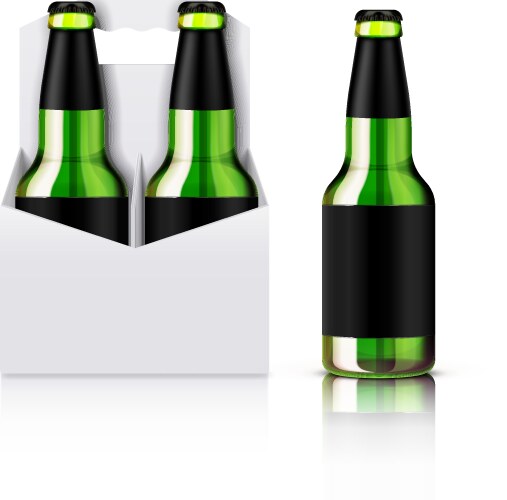Beer Carton Box Template Vector Images (86)