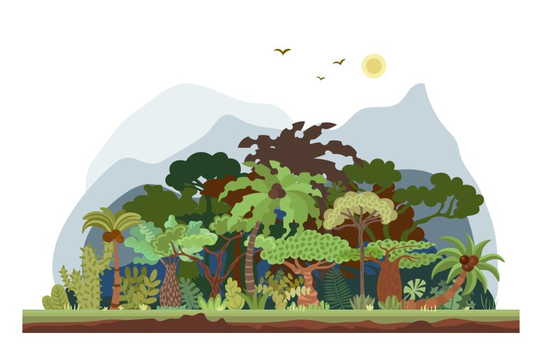 Rainforest Vector Images (over 28,000)