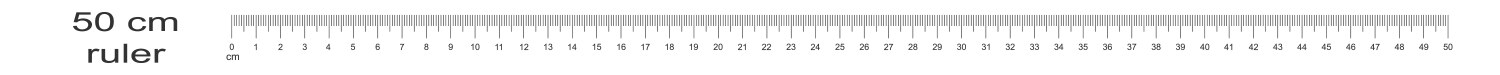 Horizontal scale of 50 centimeters ruler Vector Image