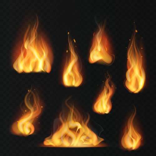 Realistic fire flames on a transparent background Vector Image