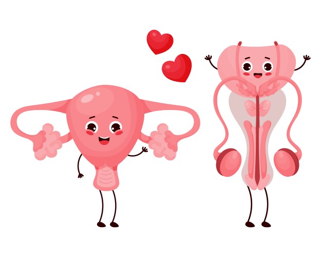 Testicle Cartoon Testis Vector Images (39)