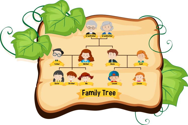 Diagram showing three generation family tree Vector Image