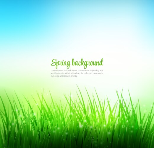 Natural green grass background Royalty Free Vector Image