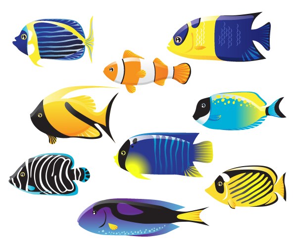 Fish Vector Images (over 530,000)