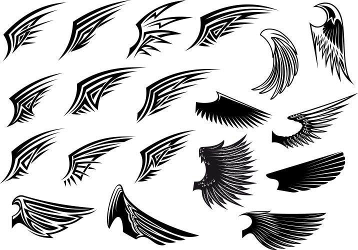 Set of wings Royalty Free Vector Image - VectorStock