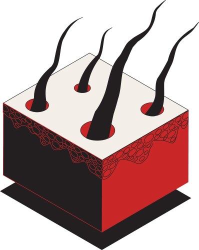 Hair Grow Vector Images (over 4,500)