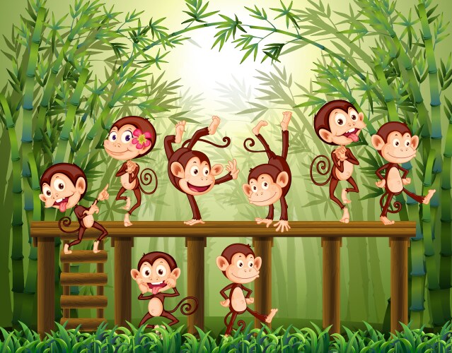 Forest Bamboo Monkey Vector Images (63)