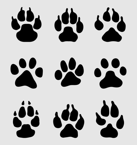 Dog Paw Print Vector Images (over 45,000)