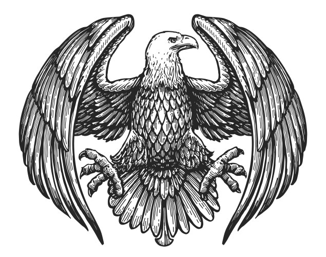 Bald eagle with spread wings emblem royal symbol Vector Image