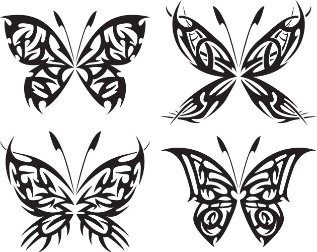Drawing butterflies stencil butterfly moth wings Vector Image