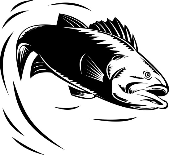 Bass Vector Images (over 87,000)