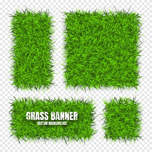 Green grass banners background field meadow Vector Image