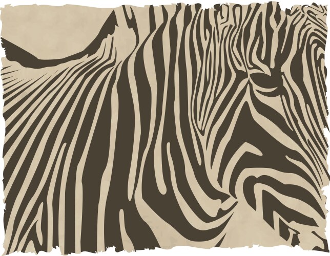 Zebra Outline Vector Images (over 3,300)