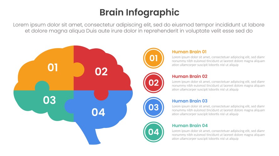 Human brain infographic template banner Royalty Free Vector