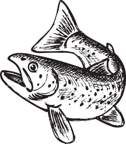 Trout Vector Images (over 13,000)