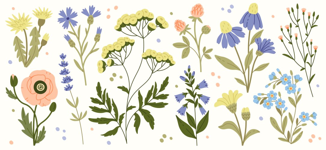 Colorful Wildflower Drawings Colorful Wildflower Art Bright Floral