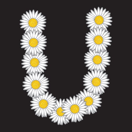 Daisyflower Vector Images (50)