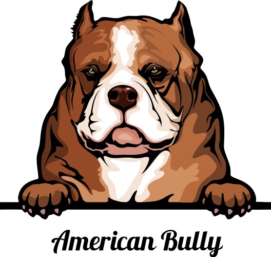 Bully Dog Logo Vector Images (over 330)