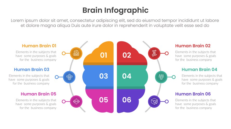 Human Head Top View Vector Images (over 510)