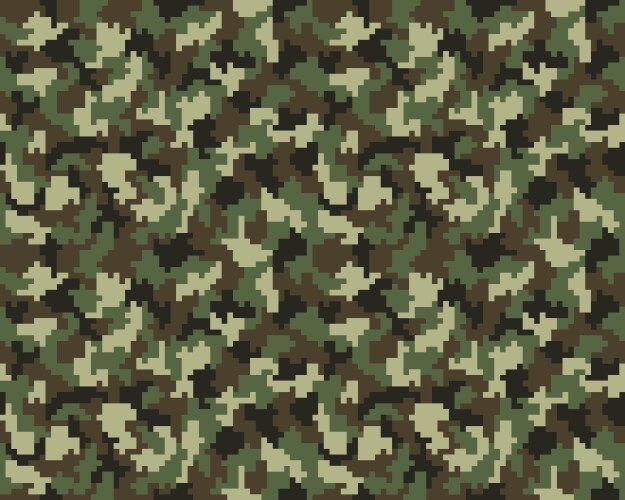 Seamless camouflage pattern Royalty Free Vector Image