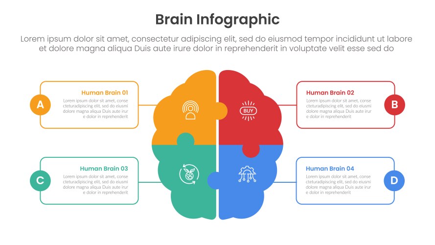 Human brain infographic template banner Royalty Free Vector
