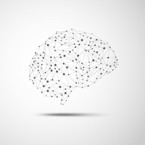 Brain Vector Images (over 240,000)