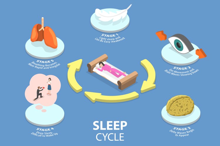 Dream Chart Vector Images (over 700)