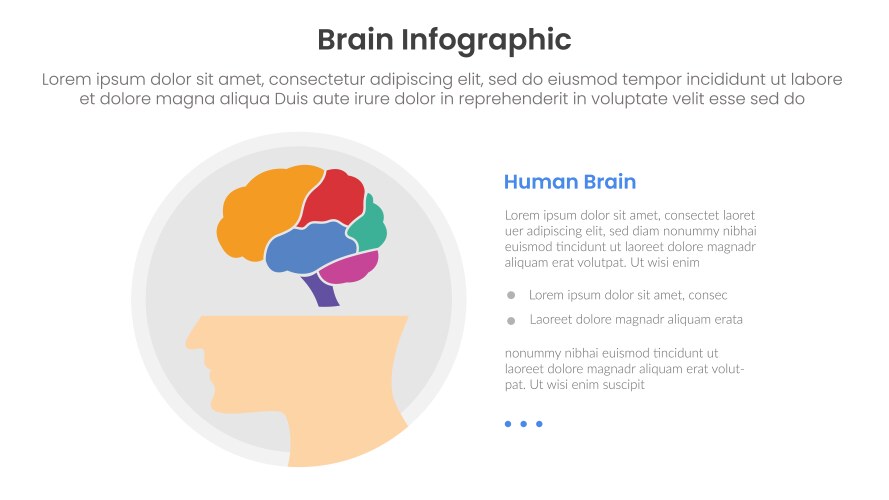 Human brain infographic template banner Royalty Free Vector