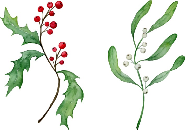 Christmas watercolor set of bouquet arrangings Vector Image