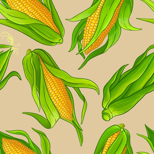 Corn plant frame on white background Royalty Free Vector