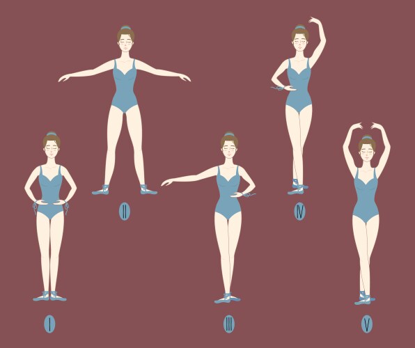 Five ballet position legs Royalty Free Vector Image