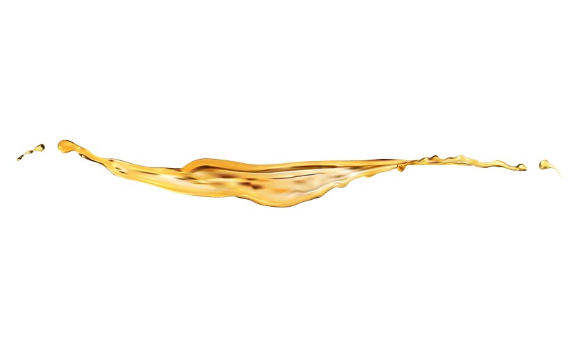 Realistic transparent water puddle isolated Vector Image