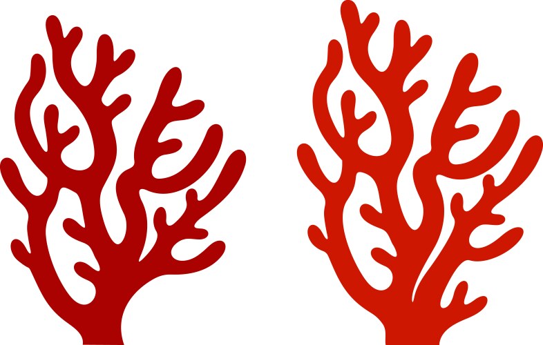 Coral Unusual Branch Vector Images (over 100)