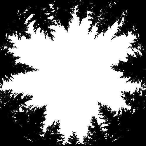 Pine Tree Top View Vector Images (over 1,800)